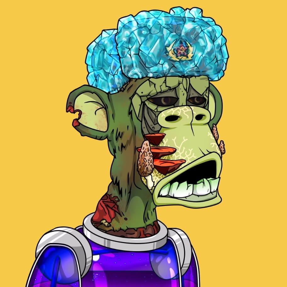 FAHIM_X's Profile | Binance Square