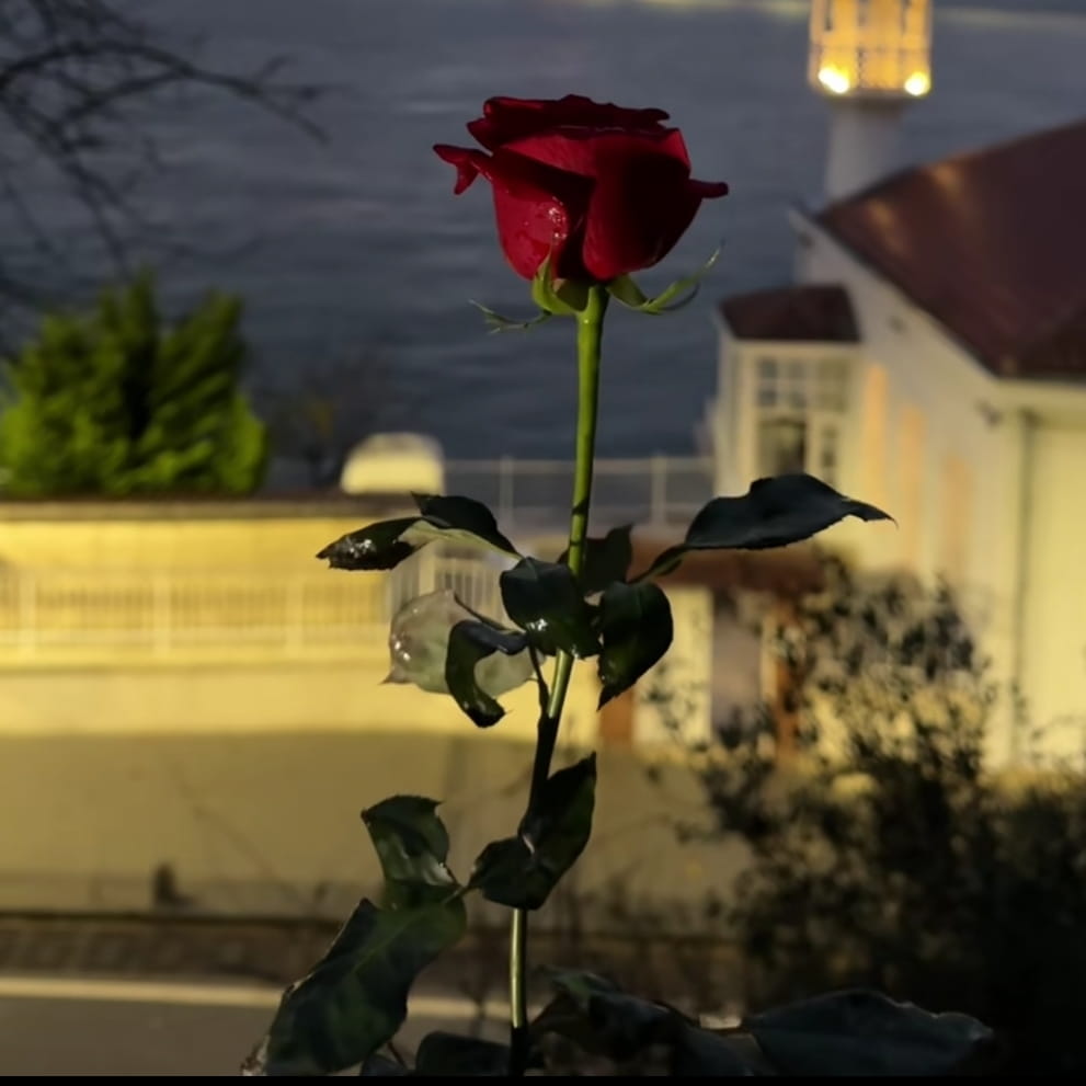 Mr Moazam's Profile | Binance Square