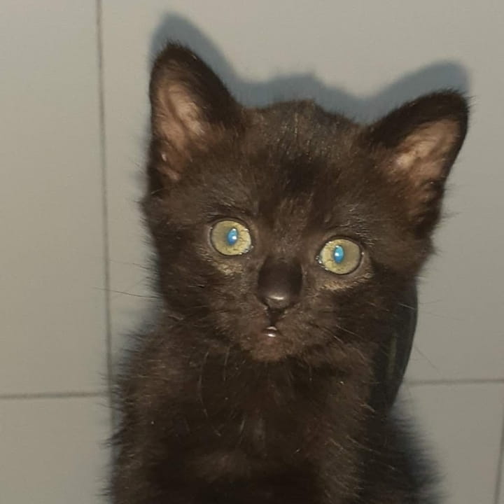 Perfil de RoberG | Binance Square