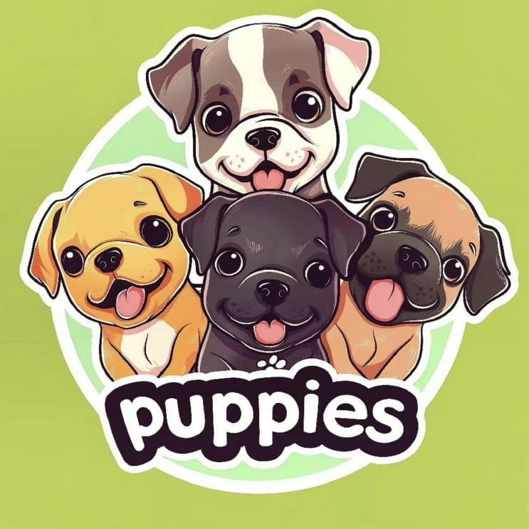 puppies嬴政's Profile | Binance Square