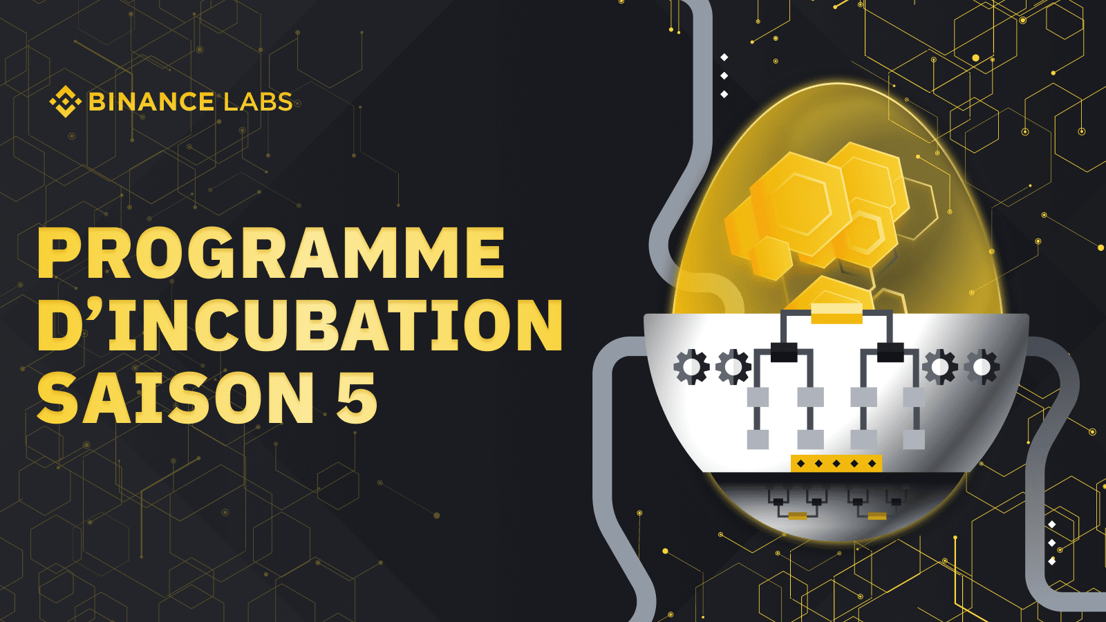 Sélection de 12 projets pour la saison 5 du programme d'incubation de Binance Labs | Blog Binance