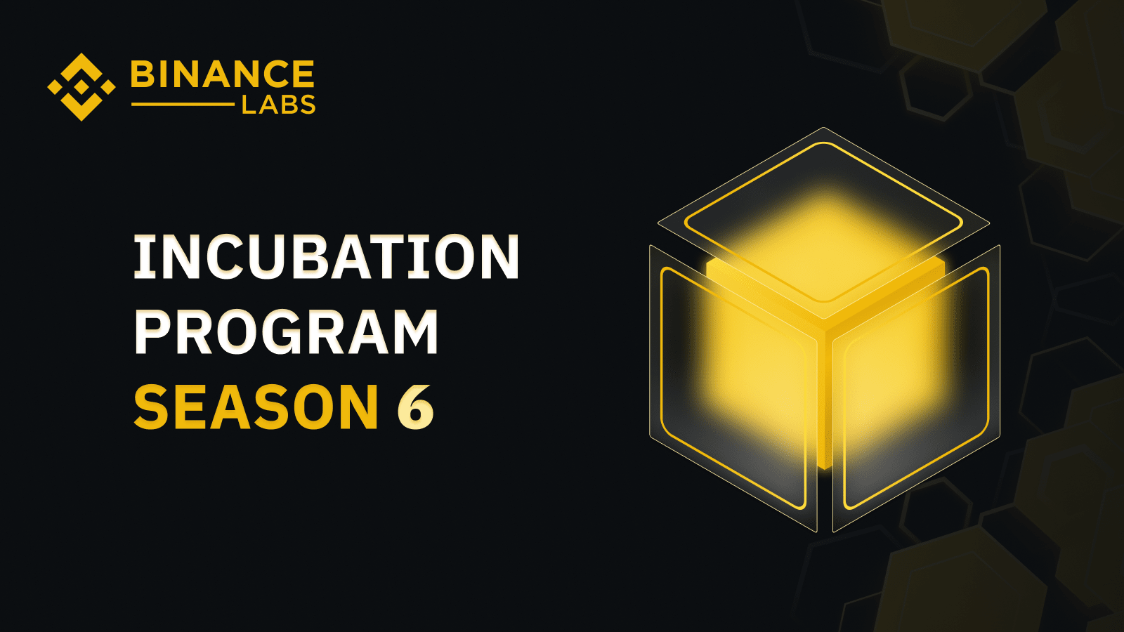 Open Applications for Season 6 Incubation Program & Binance Labs Paris ...