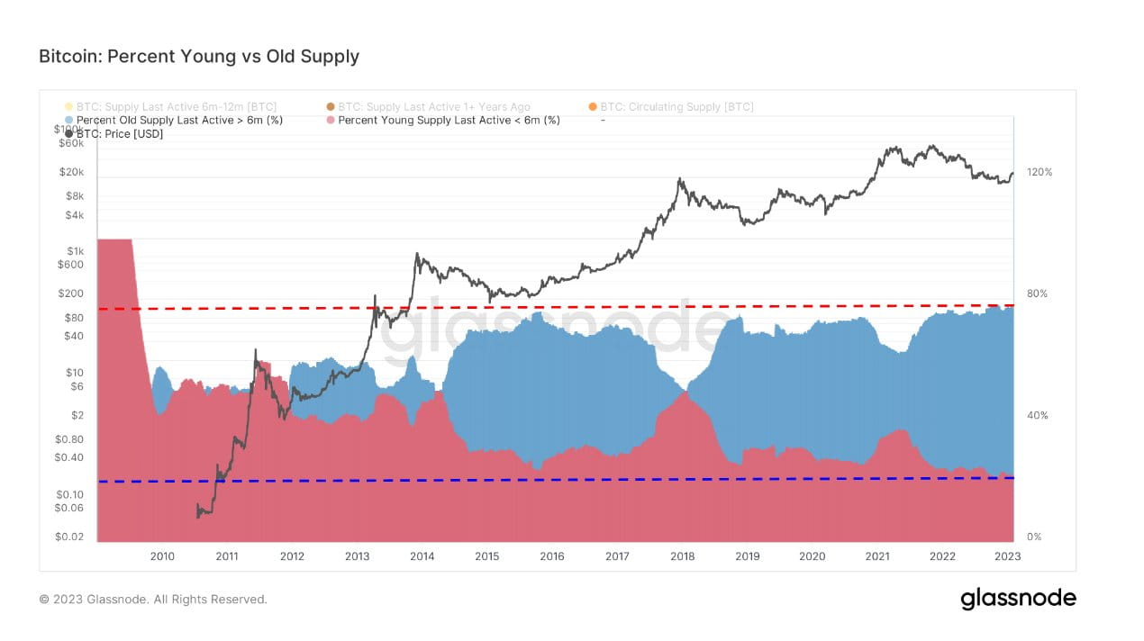 Bitcoin Long-Term Holders Now Hold 78% of Supply, Highest Level Ever | Binance News on Binance ...