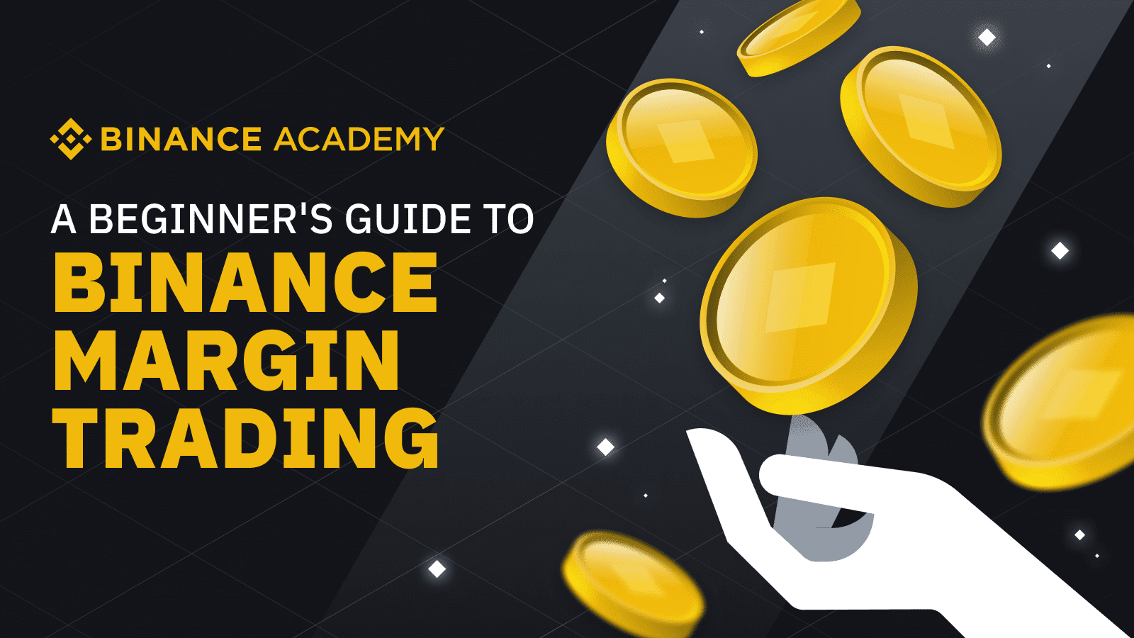 Introduction to Binance Margin Trading | Binance Academy