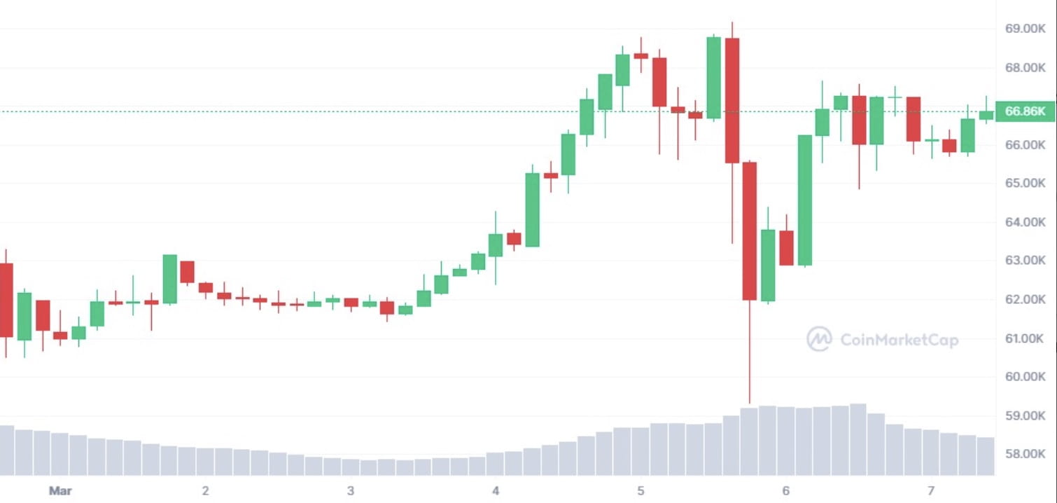 Bitcoin Spot Trading Volume Peaks to a 12-Month High Amidst Renewed ...