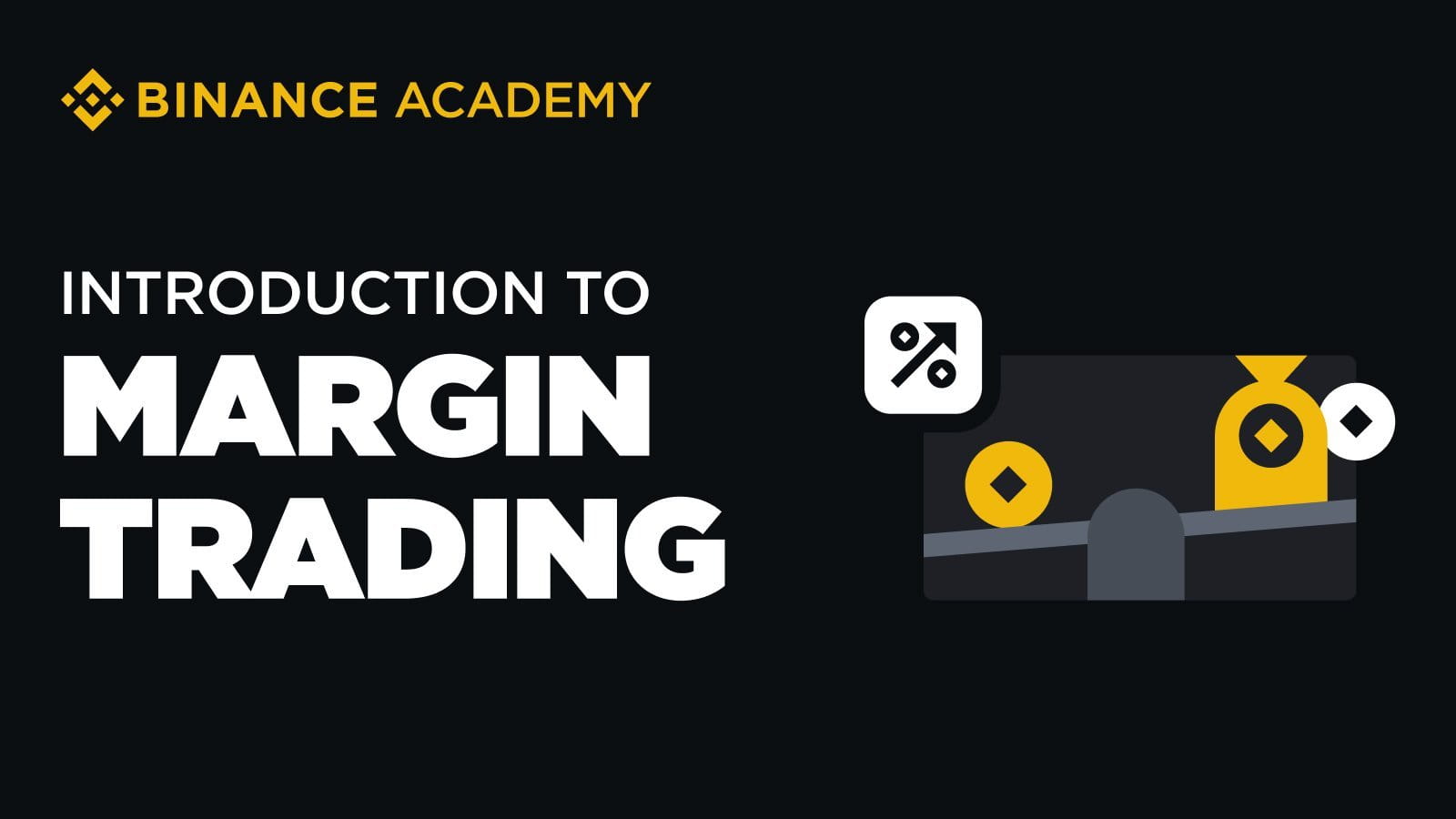 Introduction to Margin Trading