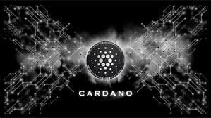 Member of the European Parliament calls Cardano “rocket” and ADA rises ...