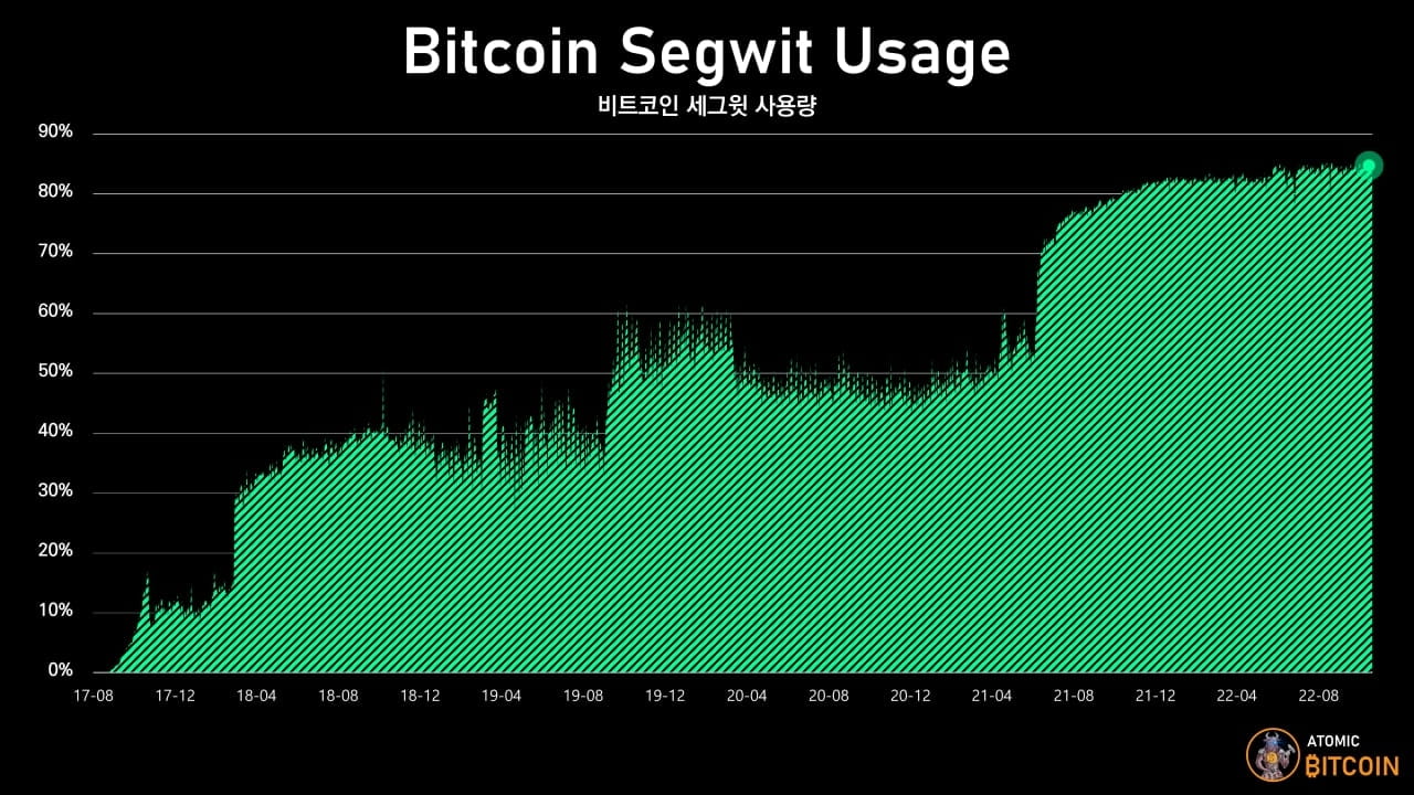 Using Bitcoin SegWit ATH | Goremika on Binance Square