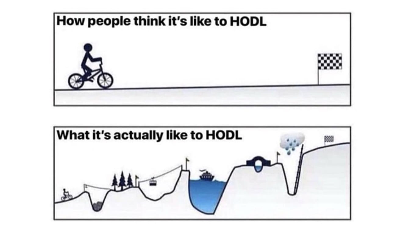 How people think it's like to HODL vs what it's actually ...