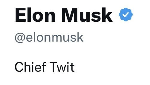 Elon Musk updated his twitter Bio to “Twit Chief” | Shibarium Updates ...