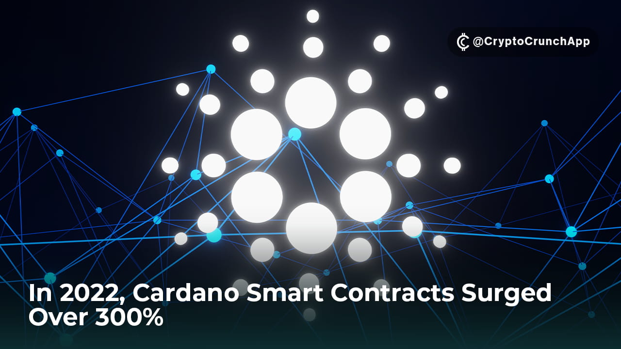 💥 In 2022, Cardano Smart Contracts Surged Over 300% #Ada | Cca123 on ...