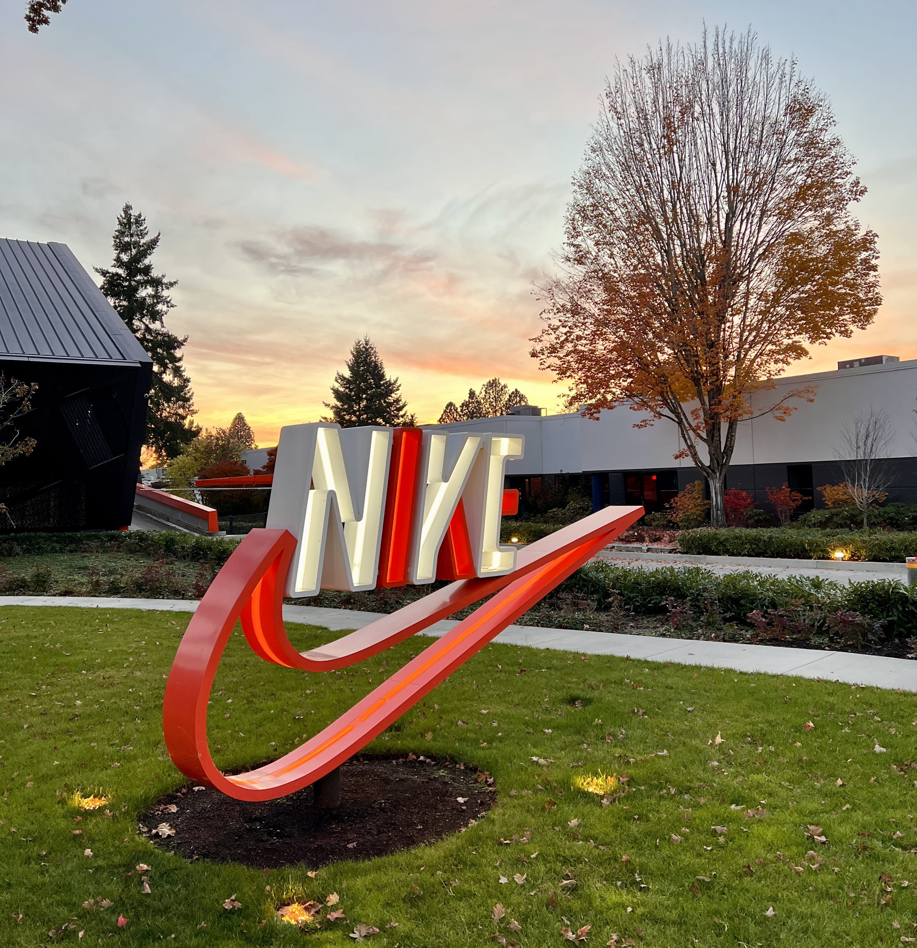 Nike announces its biggest Web3 project yet – .SWOOSH | NFOOXT on ...