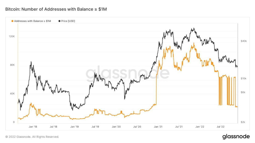 💰 The number of bitcoin wallets with more than $1 million | WumpuS on ...