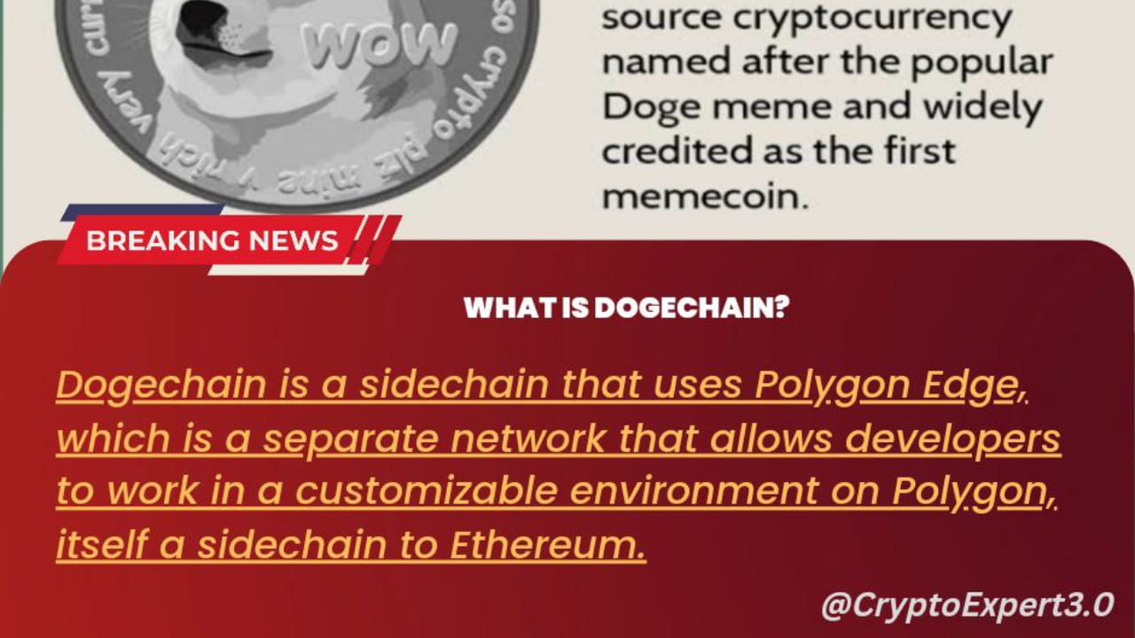 What is Dogechain? | CryptoExpert on Binance Square