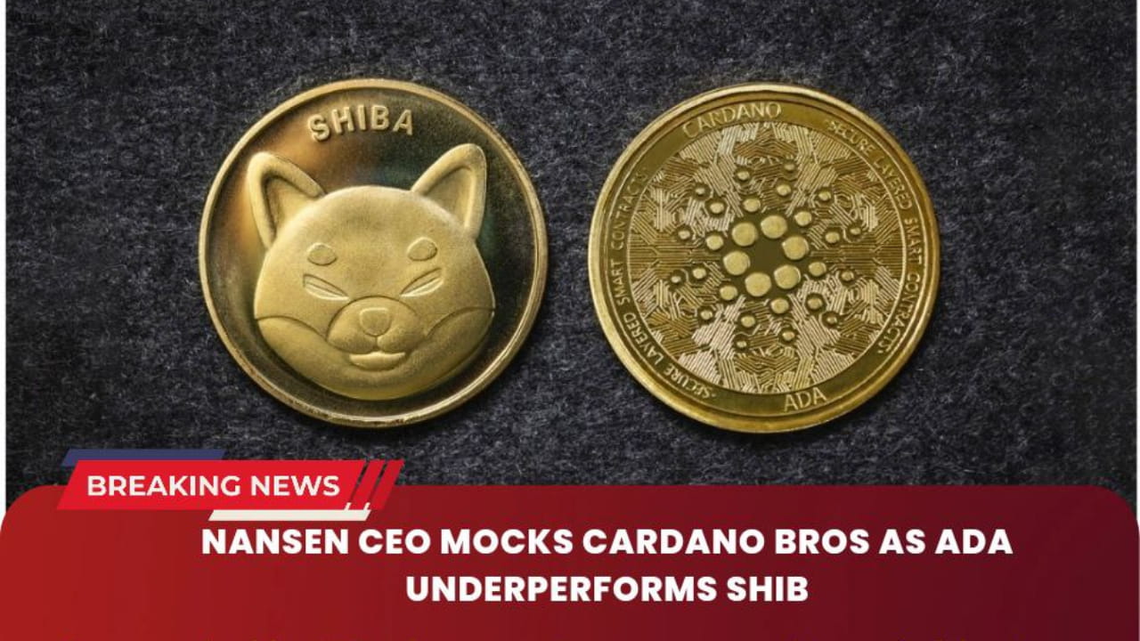 Nansen CEO Mocks Cardano Bros as ADA Underperforms SHIB | CryptoExpert on Binance Square