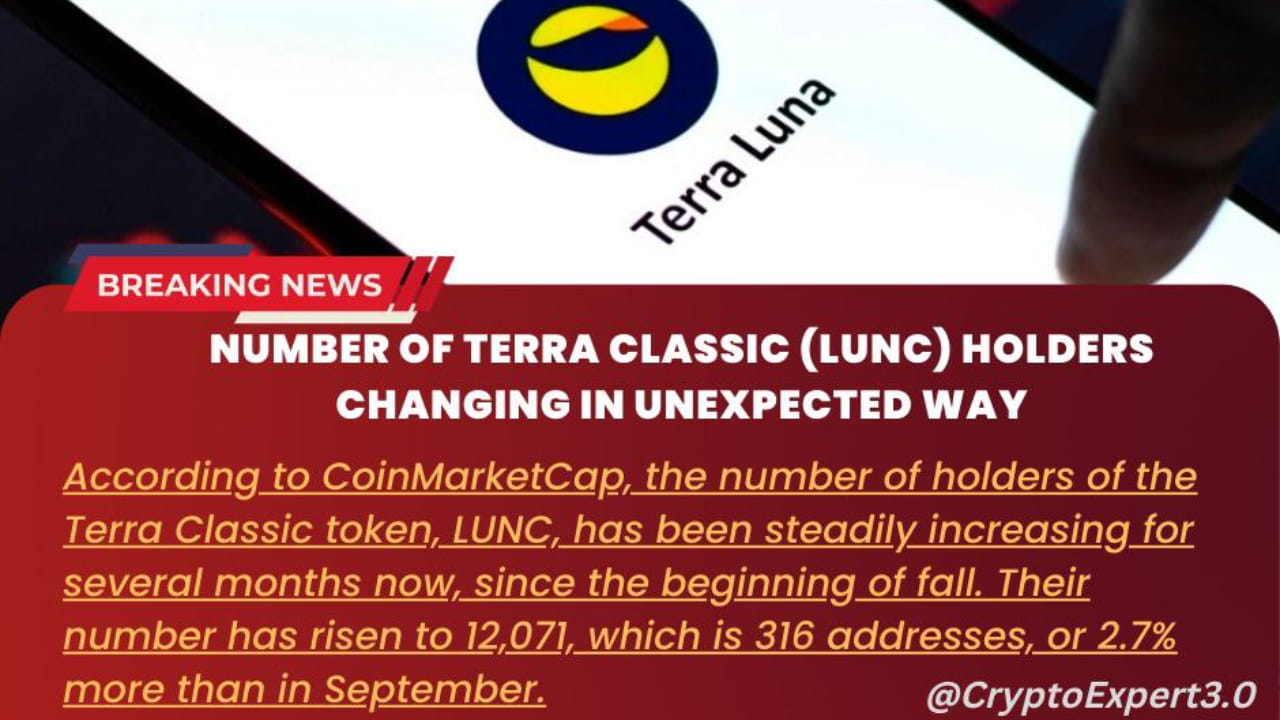 Number of Terra Classic (LUNC) Holders Changing in Unexpected Way ...