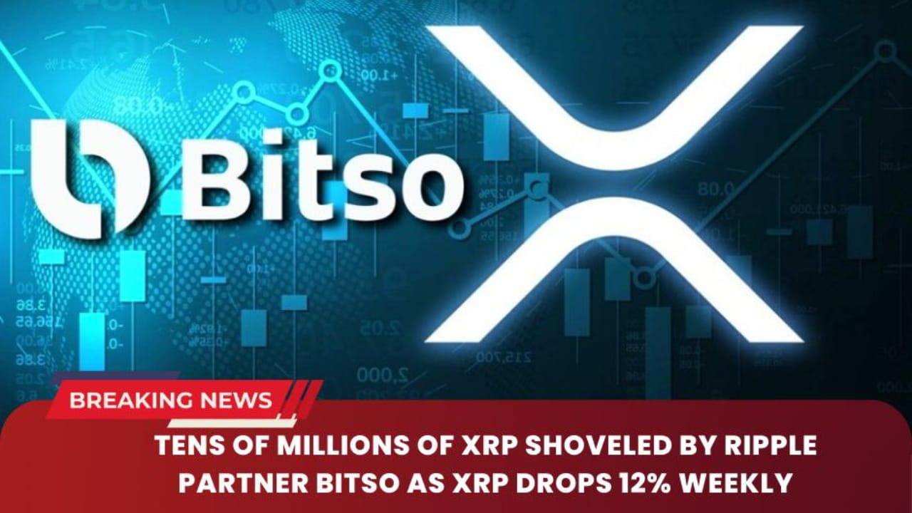 Tens of Millions of XRP Shoveled by Ripple Partner Bitso as XRP Drops 12% Weekly | CryptoExpert ...