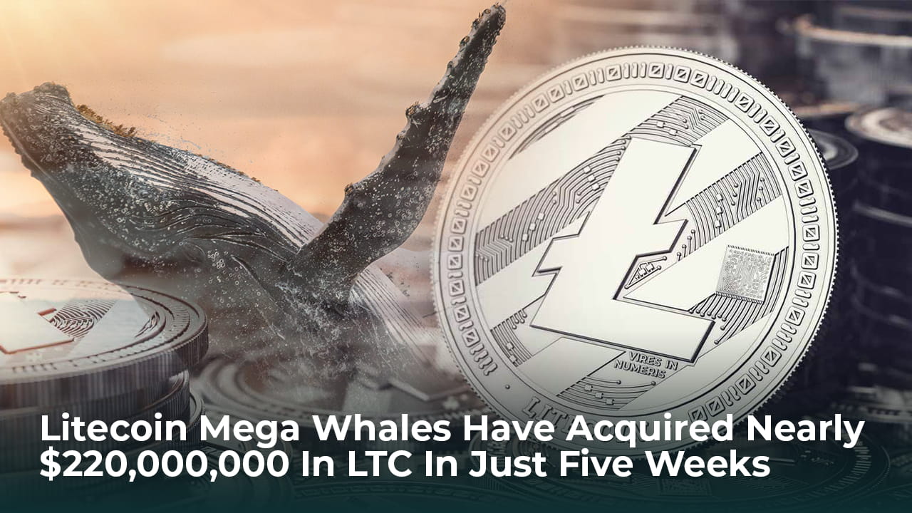 Litecoin Mega Whales Have Acquired Nearly $220,000,000 In LTC In Just ...