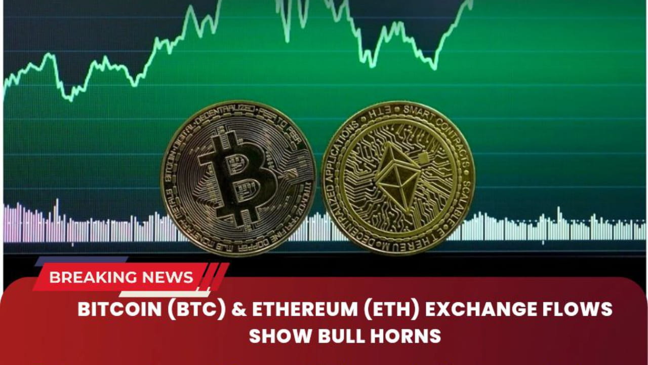 Bitcoin (BTC) & Ethereum (ETH) Exchange Flows Show Bull Horns ...