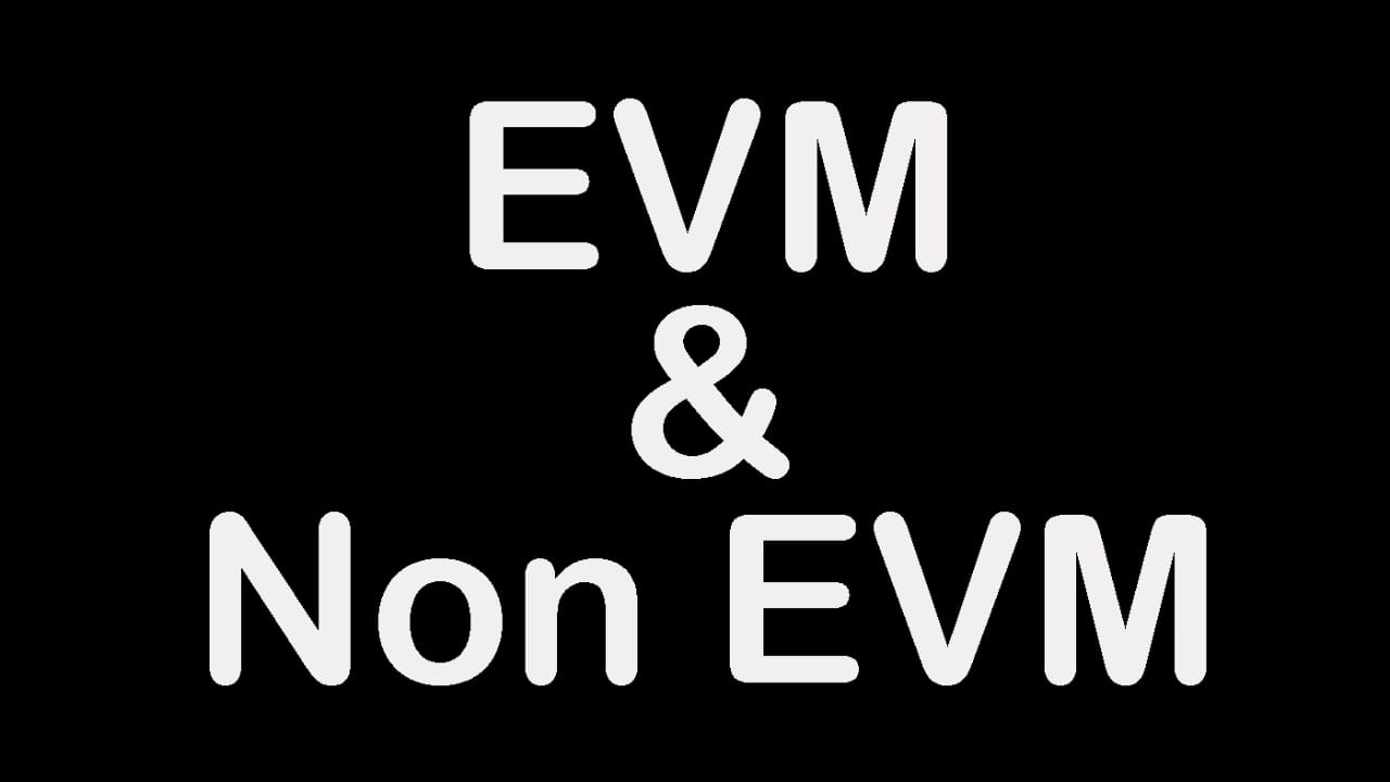 Ethereum Virtual Machine (EVM) vs Non-EVM-compatible networks ...