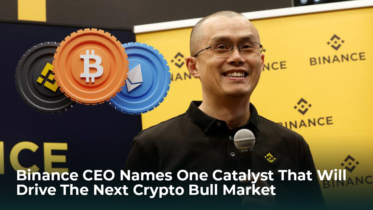 Binance CEO Names One Catalyst That Will Drive The Next Crypto Bull ...