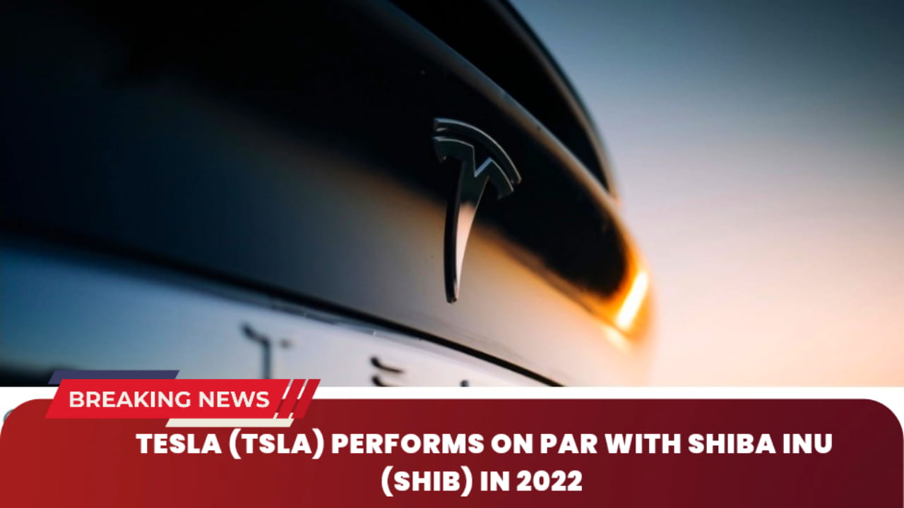 Tesla (TSLA) Performs on Par with Shiba Inu (SHIB) in 2022 ...