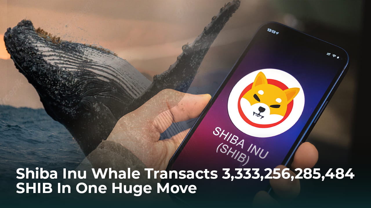 Shiba Inu Whale Transacts 3,333,256,285,484 SHIB In One Huge Move | Cca123 on Binance Square
