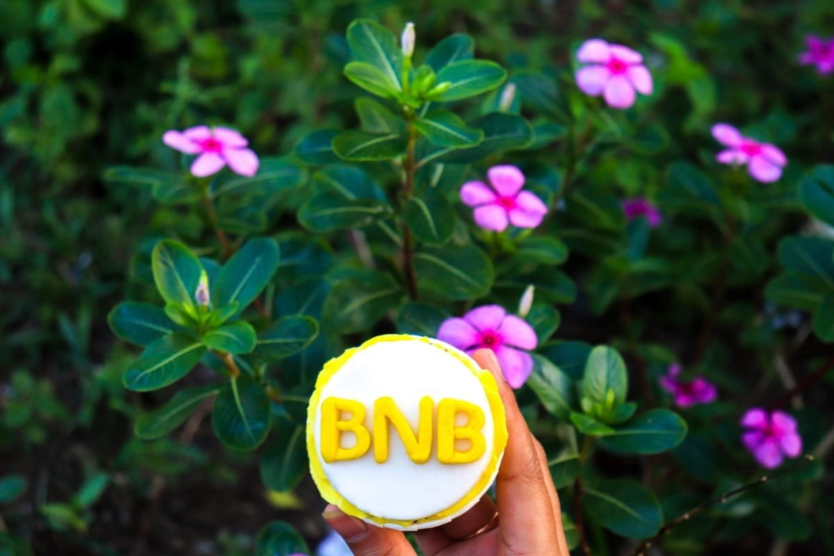 Gm to all #BNB Superstars, know that you rock the most becau ...