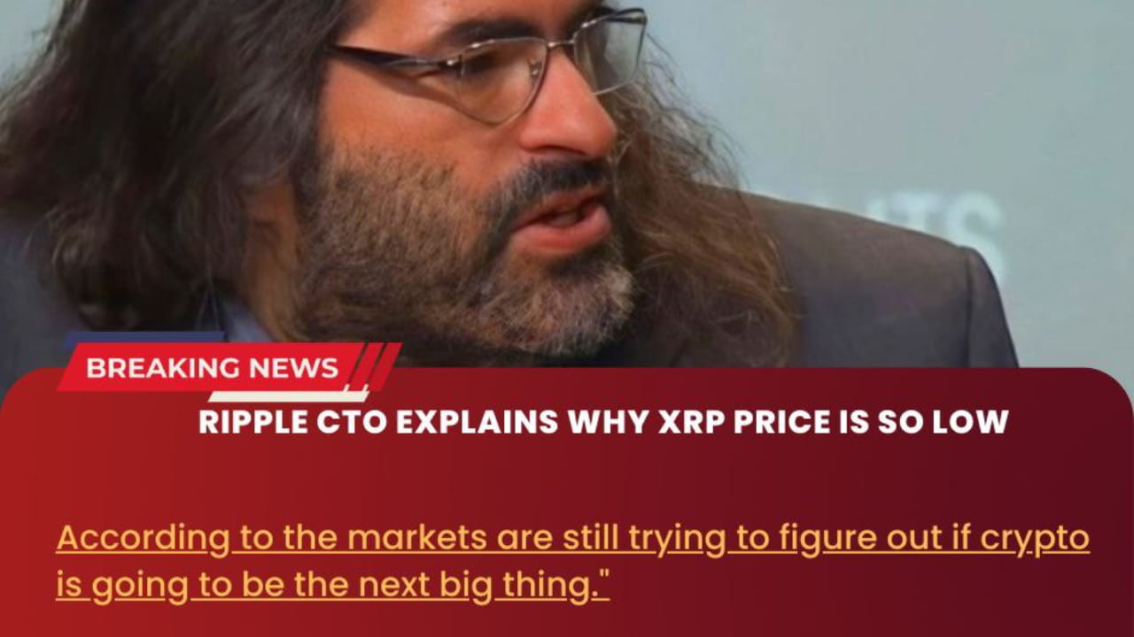 Ripple CTO Explains Why XRP Price Is So Low | CryptoExpert on Binance ...