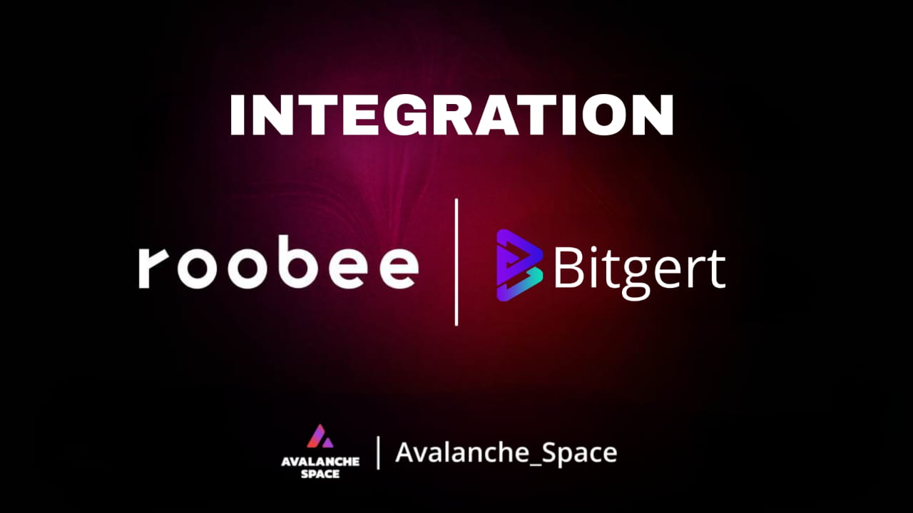 Avalanche Space on Binance Feed: Roobee Integration with Bitgert | Binance Feed