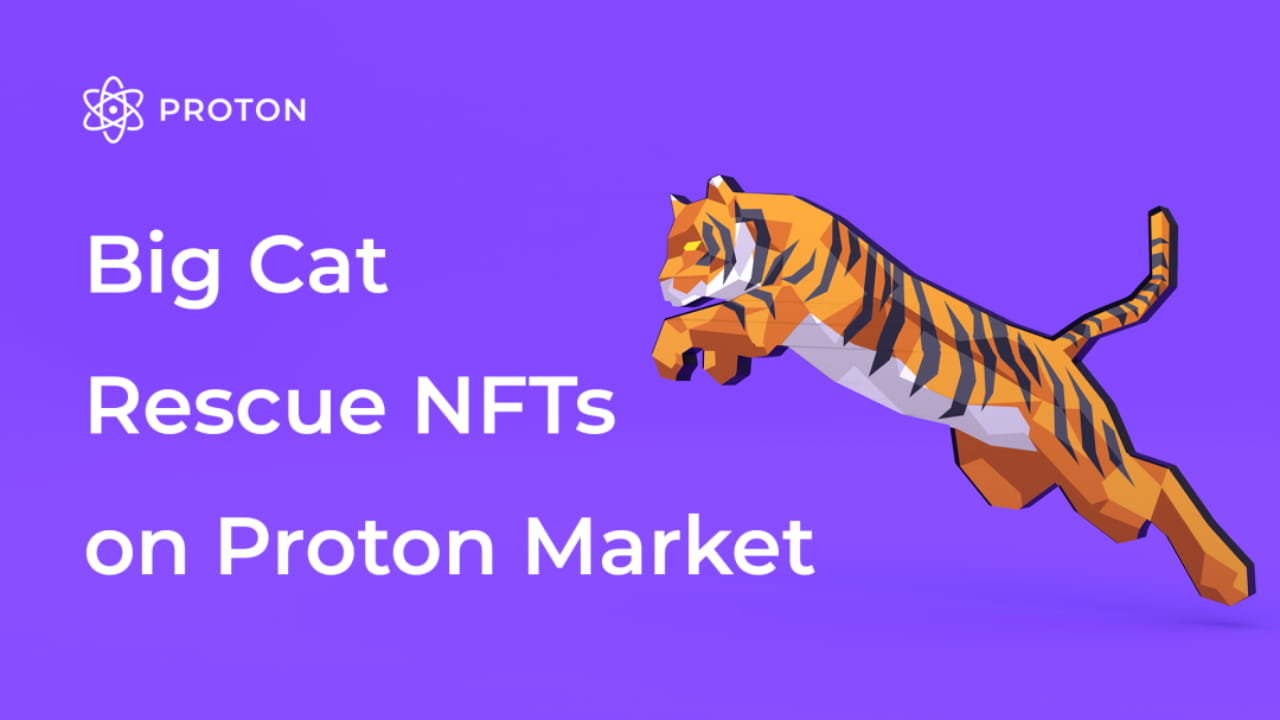 Proton: Big Cat Rescue launches its NFT collection on the Proton marketplace | Cannon Community ...
