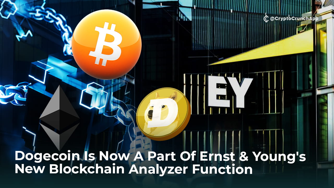 Dogecoin Is Now A Part Of Ernst & Young's New Blockchain Analyzer ...