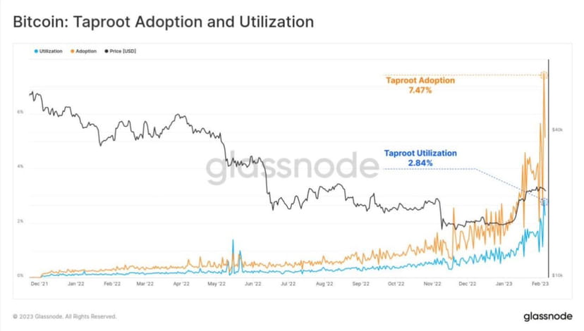 Bitcoin Taproot campaign has boosted adoption metrics to ATH | Crypto鲸鱼 ...