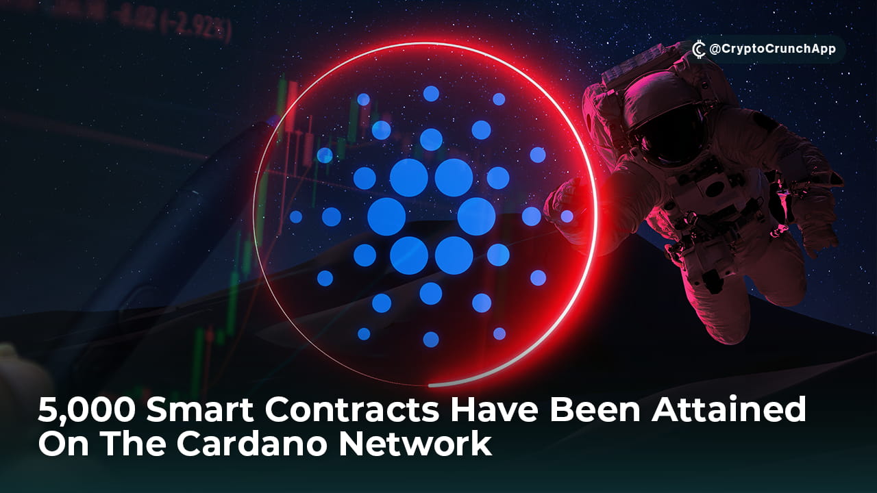 5,000 Smart Contracts Have Been Attained On The Cardano Network ...