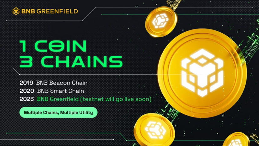 One coin, multiple chains, multiple utilities. BNB Greenfie | BERIT on ...