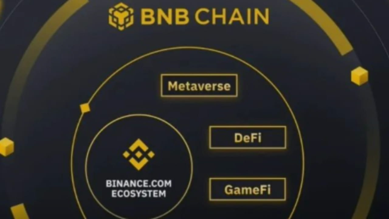 BNB Chain Ecosystem News (February 22) | 小树苗 Berachain on Binance Square