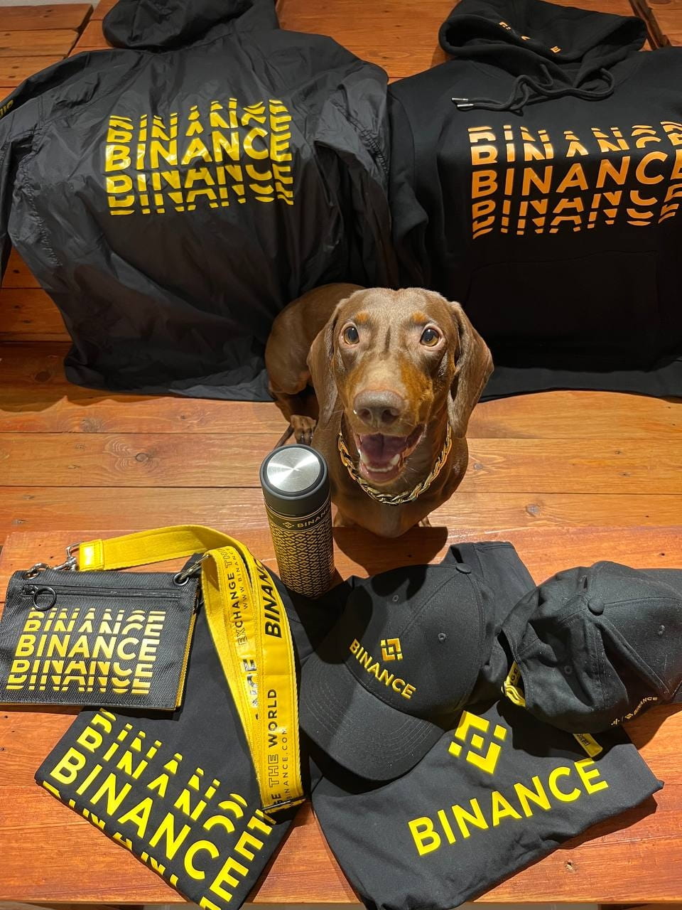 Are you impressed 😎 | Milo De Crypto on Binance Square