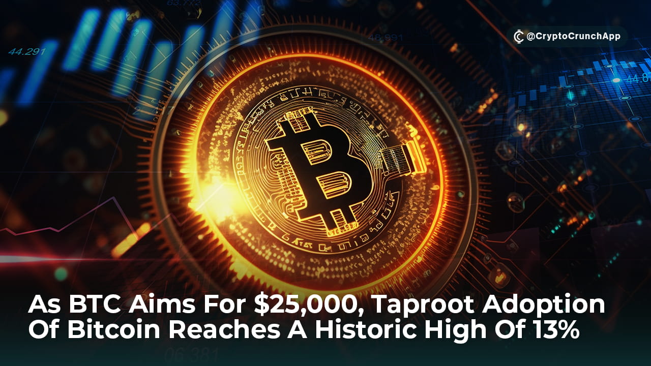 As BTC Aims For $25,000, Taproot Adoption Of Bitcoin Reaches A Historic ...