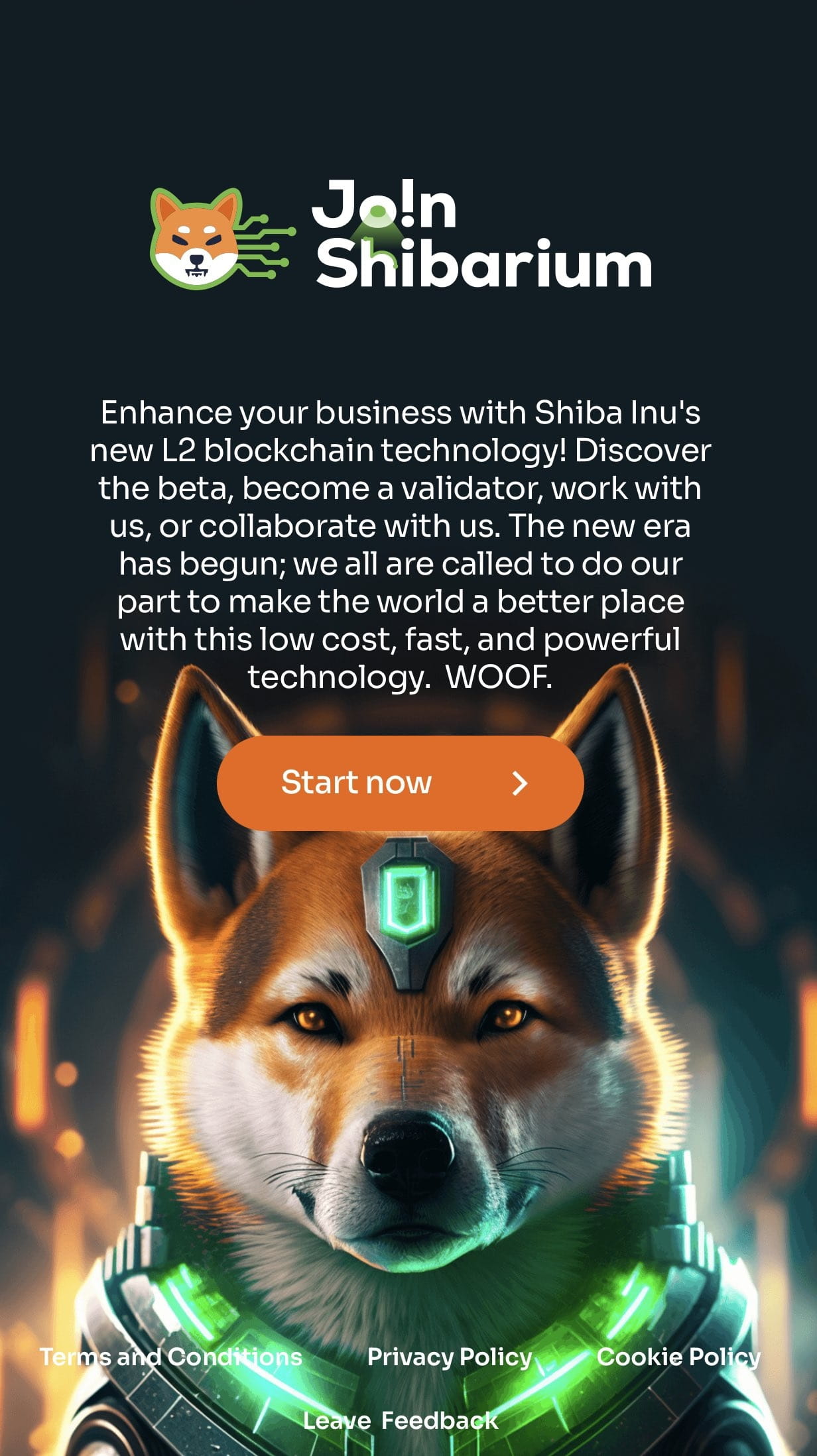 SHİBA HOLDERS 👀 #SHIB #shibainu #shibarium #shiba | ElitKoin on Binance ...