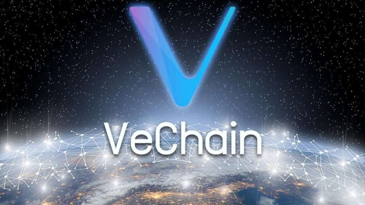 VeChain: Sign in with Google and send transactions without any ...