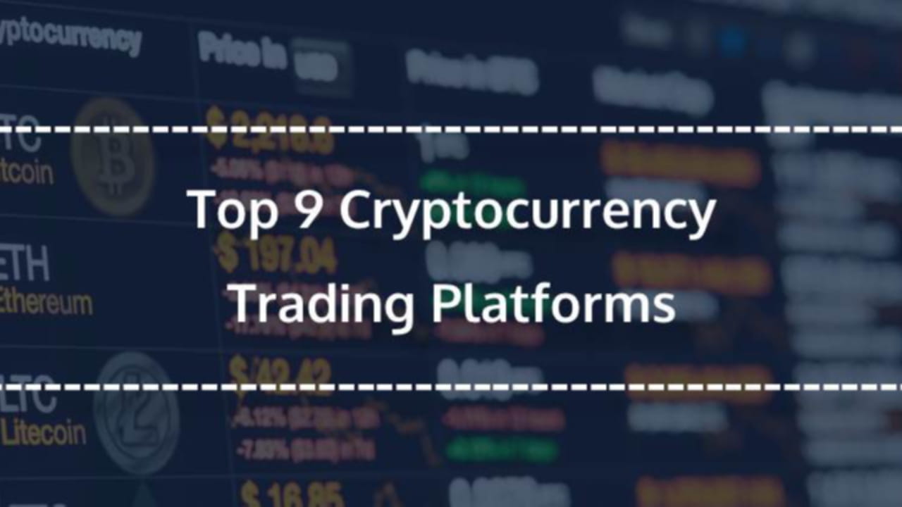 Riding the Wave: Top 9 Crypto Futures Trading Platforms to Watch in ...