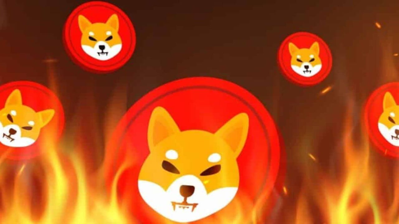 Shiba Inu Burn Rate Spikes 10960% After Shibarium Code Rumors Quelled ...