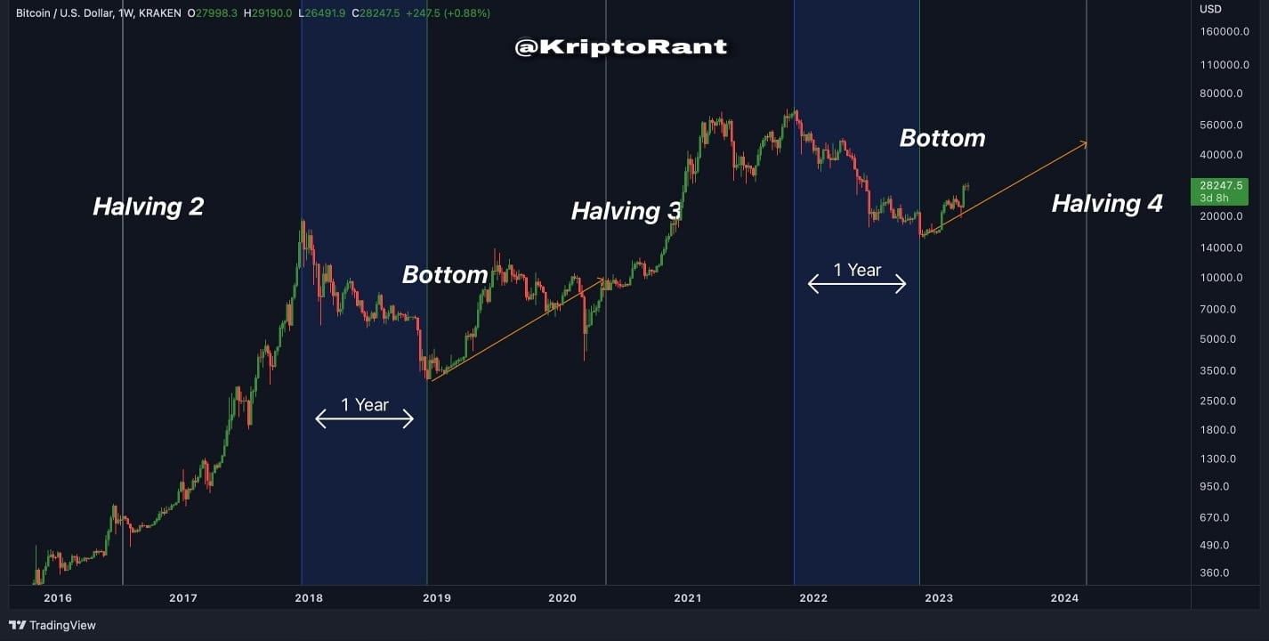 The next #Bitcoin #Btc Halving is only one year away. . . 💥 ...