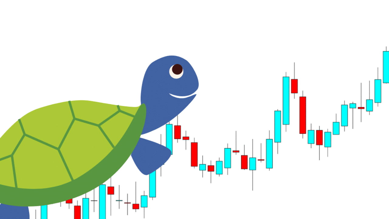 What Is Turtle Trading & Does It Work for the Crypto Market? | Trading ...