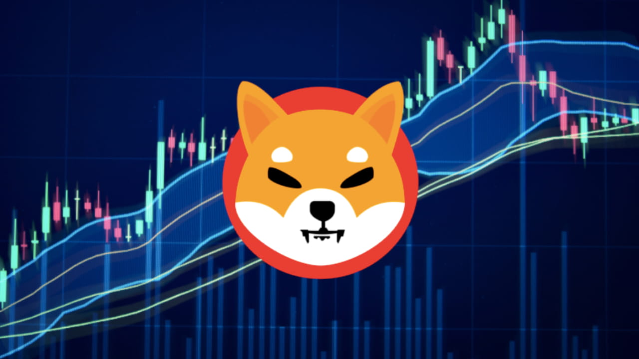 ‘Stop Fudding’ Shiba Inu Lead Developer Warns Bitboy, Ryoshi Revealed ...
