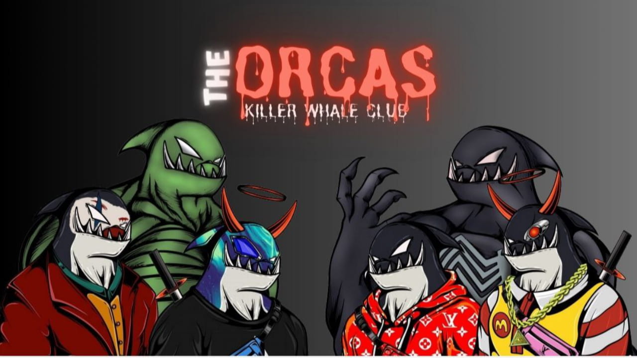 The Killer Whale Club NFT, revival with potential | Crypto Gems DEX on ...