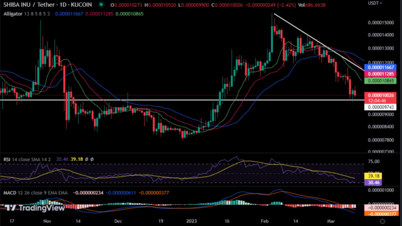 SHIBA INU PRICE ANALYSIS : "Is SHIB poised for another rally, or is it time to short ...