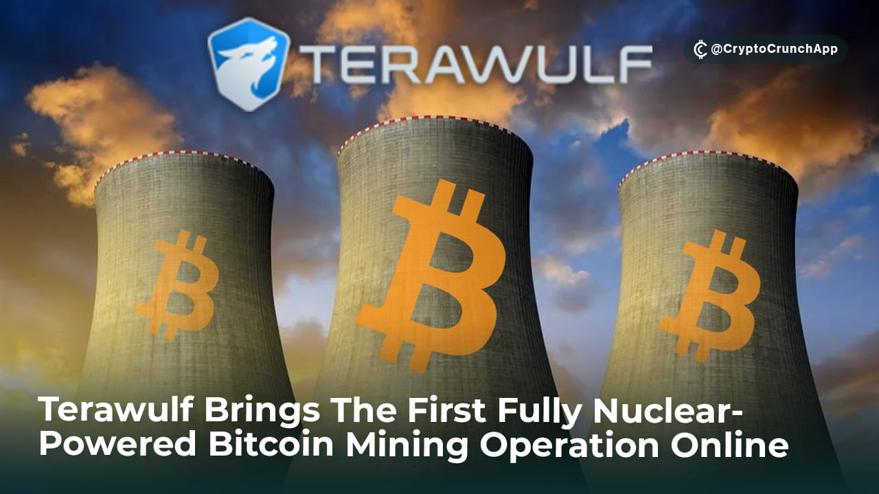 Terawulf Brings The First Fully Nuclear-Powered Bitcoin Mining Operation Online | Cca123 on ...