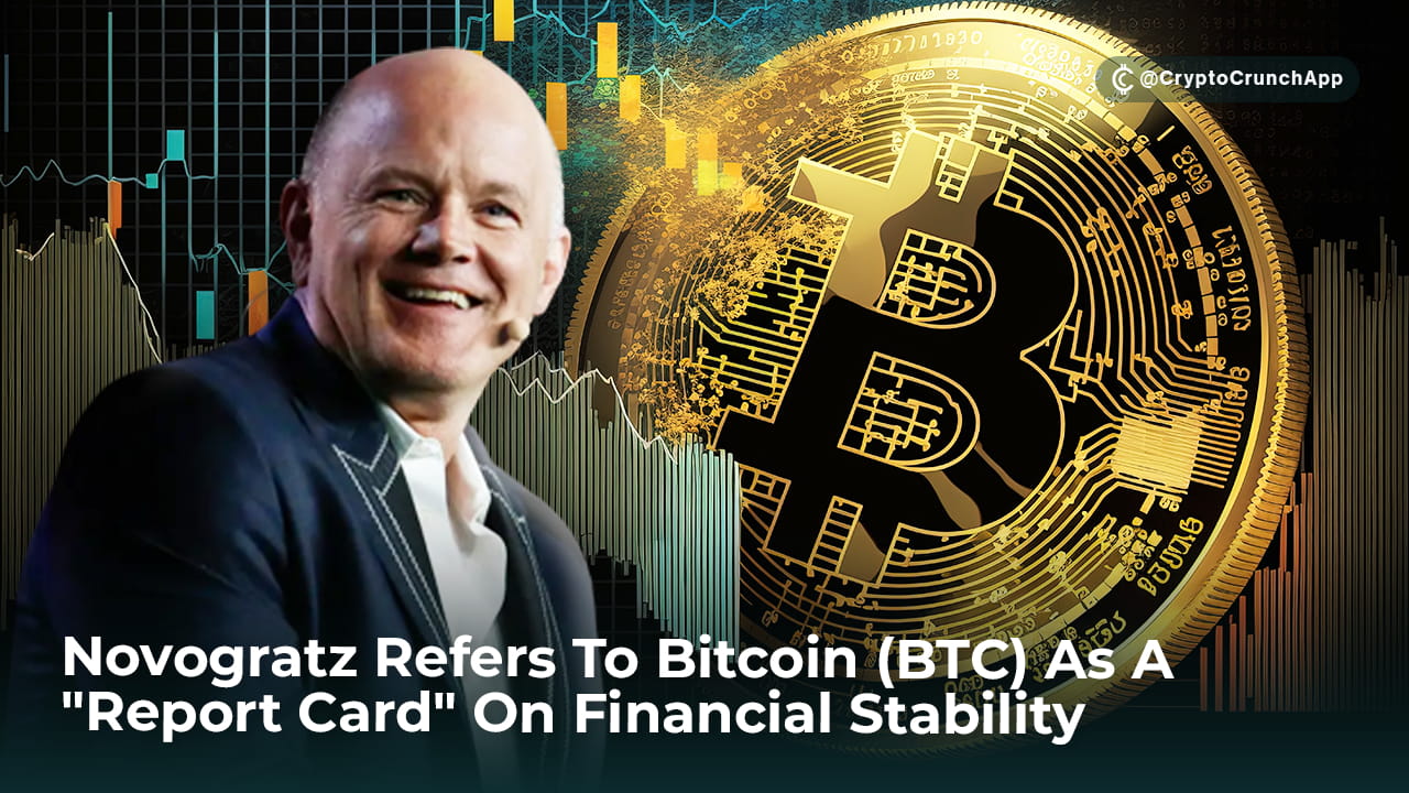 Novogratz Refers To Bitcoin (BTC) As A "Report Card" On Financial ...