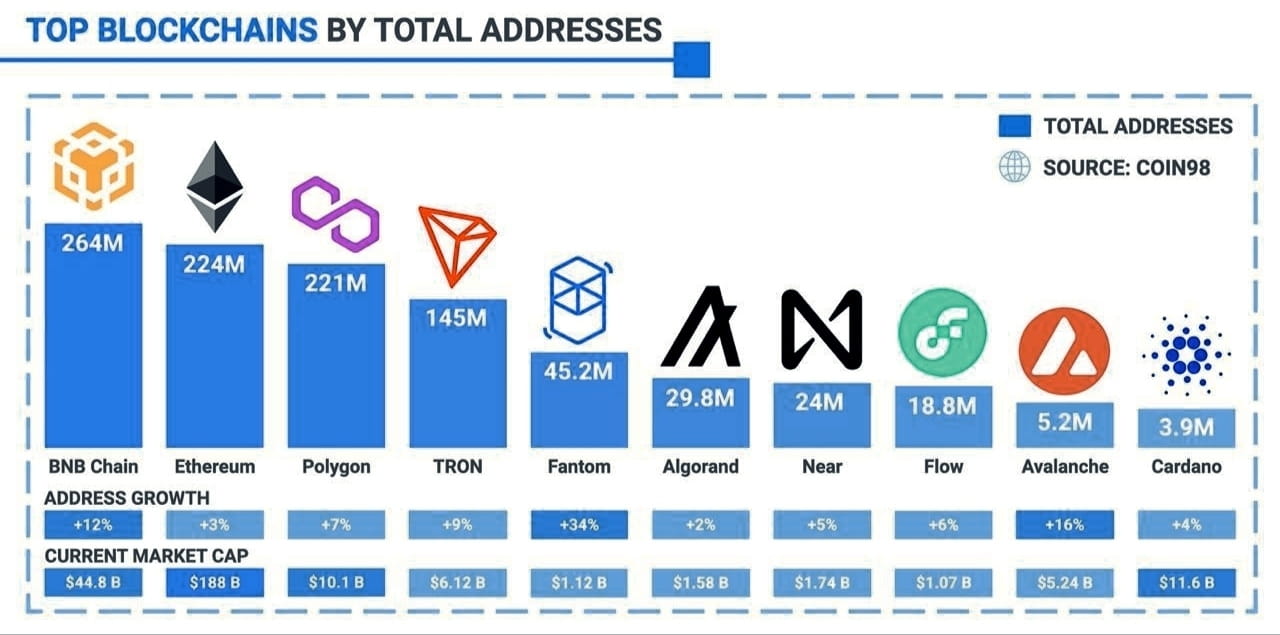 Top Blockchains by Total Addresses Let’s compare the top b | Crypto PM ...